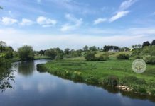 Newgrange and Knowth: Ireland Ruins Worth Seeing - Travis Neighbor Ward