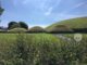 Newgrange and Knowth: Ireland Ruins Worth Seeing - Travis Neighbor Ward