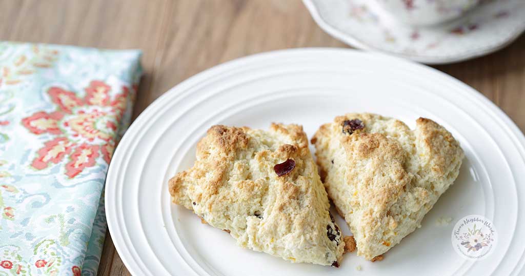 Cranberry Scones Recipe with Oranges - Travis Neighbor Ward